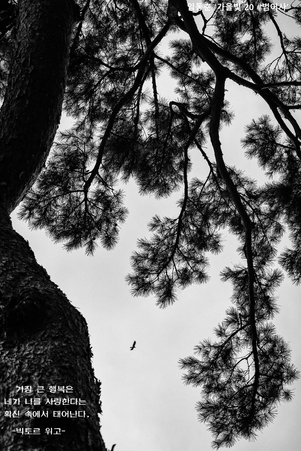 [김시행의 詩·畵·音] 36 진정한 사랑이란 무엇인가